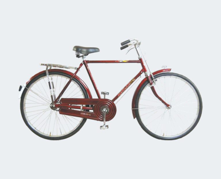 SUPER PLUS 20" BOYS - Neelam Cycles